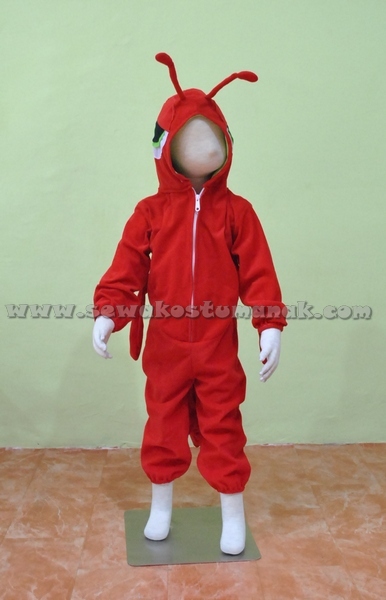 Kostum Semut | Sewa Kostum Binatang | Kotum Anak Online Di Kelapa ...